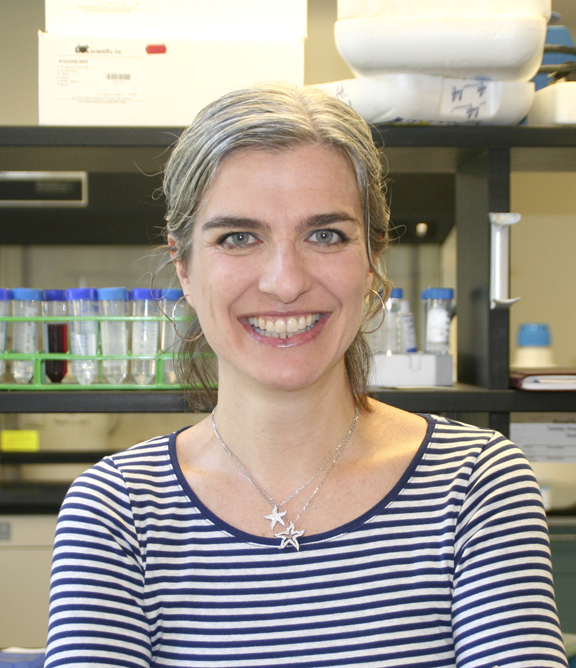 Dr. Barbara Mellone is a recipient of the 2015 AAUP Excellence Awards ...