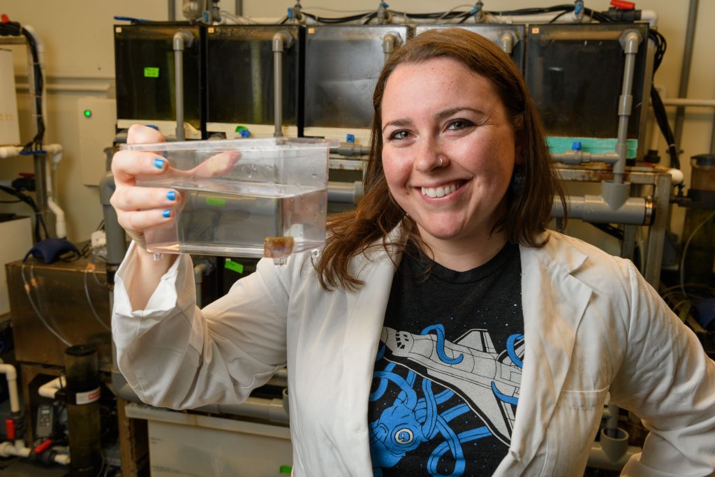 Listen to MCB's Sarah McAnulty's UConn 360 podcast | Department of ...